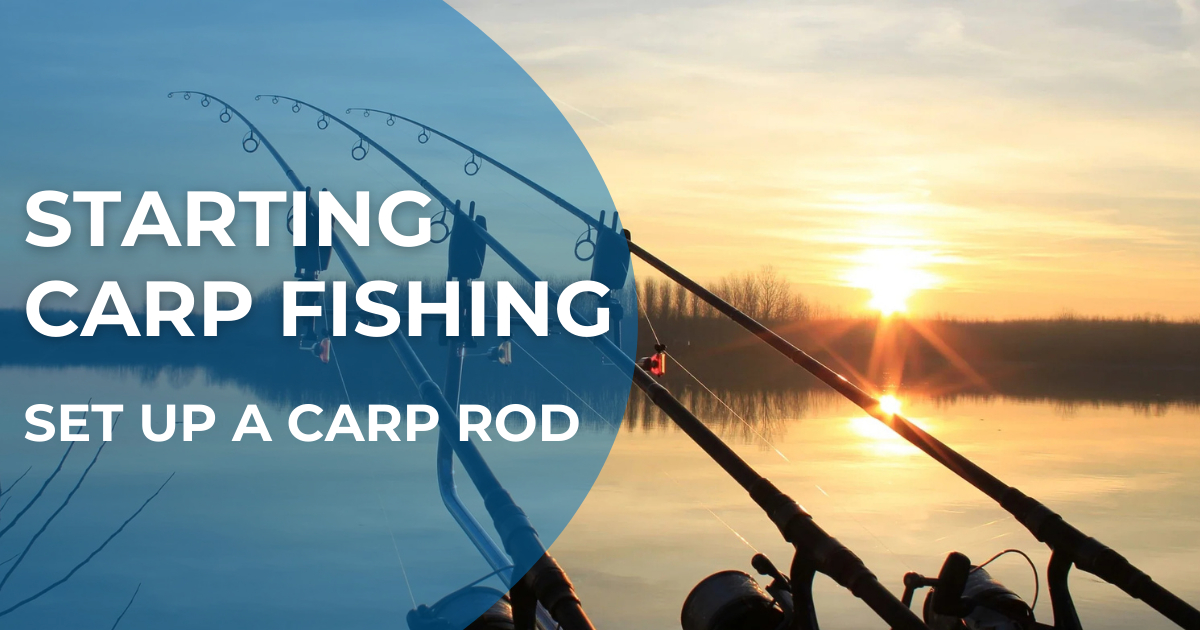 Starting Carp Fishing: How to Set Up a Carp Rod - A Beginner's Guide ...