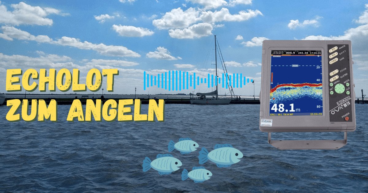 Echolot zum Angeln: Worauf vor dem Kauf achten? | FisHub