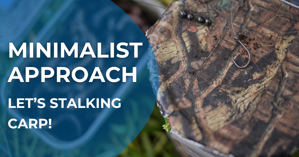 The Minimalist Approach: Stalking Carp with Freelining Techniques | FisHub